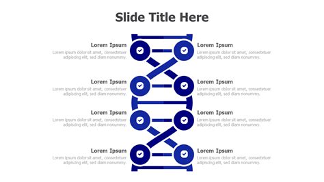 DNA Infographic DNA Slides DNA Templates