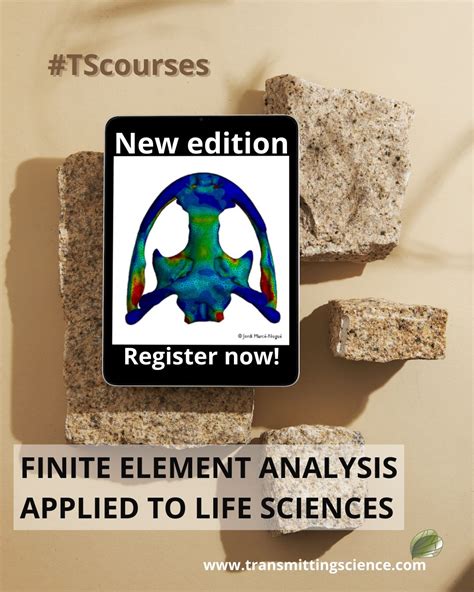 Transmitting Science On Linkedin Finite Element Analysis Applied To