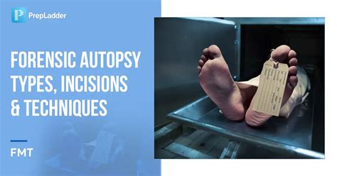 Forensic Autopsy Types Incisions Techniques More