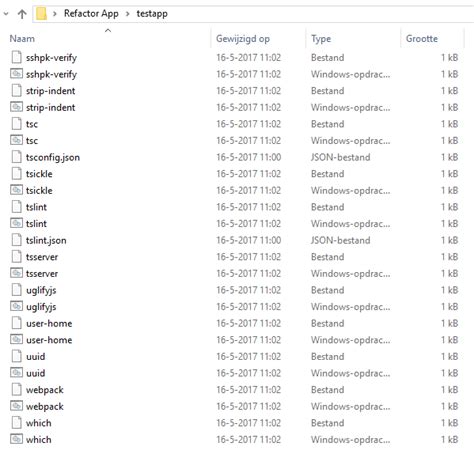 Nodejs Nodejs With Ionic Isnt Installing Packages Correctly