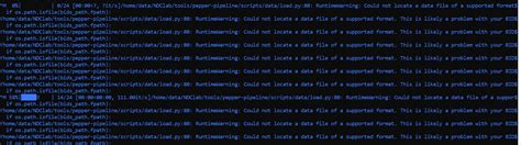 Surpress Or Remove Runtimewarning On Loading Of BIDS Files Issue NDCLab Pepper Pipeline