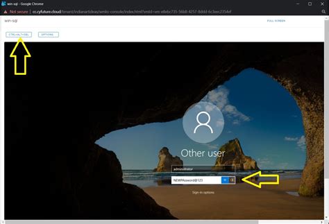 How To Reset Password Cyfuture Cloud
