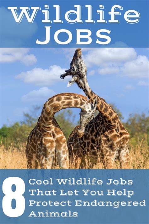 8 Cool Wildlife Jobs Help Protect Endangered Animals