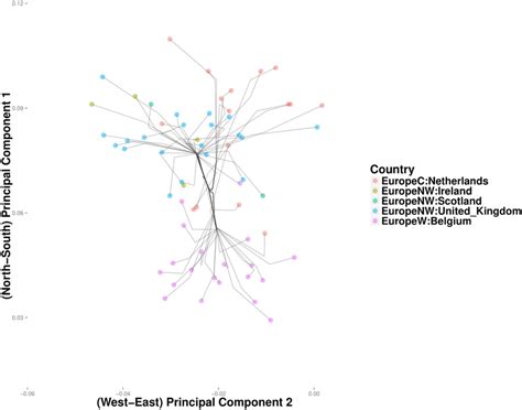 Convex Clustering Projection Showing Genetic Relationships Among