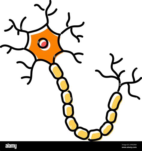 Neuron Structure Neuroscience Neurology Color Icon Vector Illustration