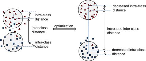 intra inter class variability