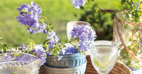 Flores Silvestres Moradas Para El Jardín Guía Completa De Variedades