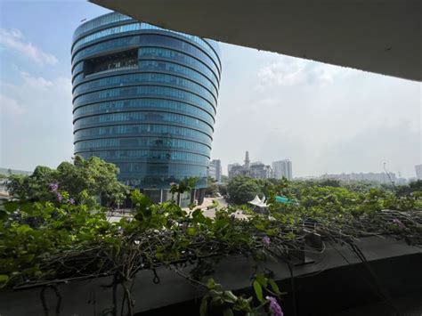 Sajitha S Posted On Linkedin