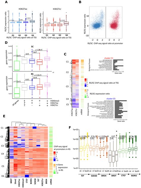 all gene expression and chip seq signal values are expressed in log 2