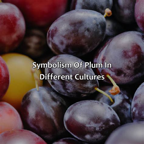 What Color Is Plum Colorscombo Com