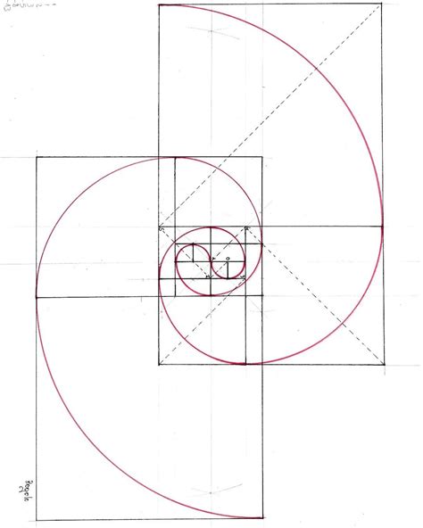 Fibonacci Number Svg Clipart Free Vectors Artofit