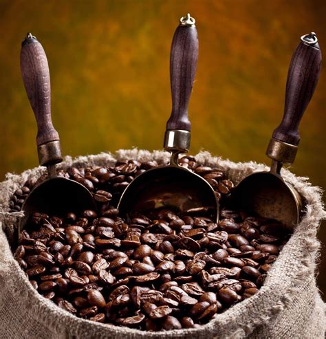 Sirius Coffee sees a ‘latte’ value in the future of digital assets - Qoin