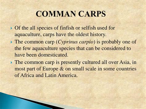 SOLUTION Carp Fish Types Of Carp Fish And Processing Of Carps Studypool
