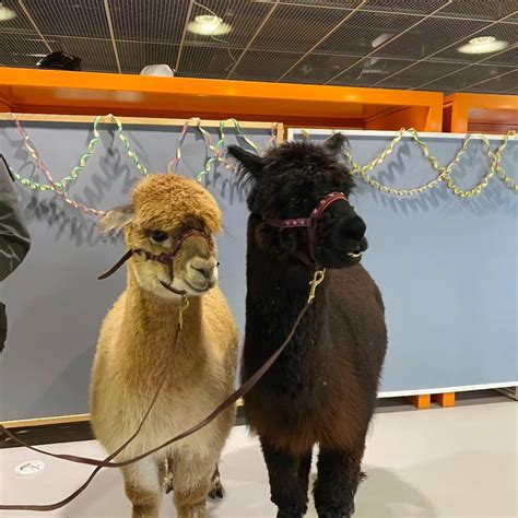 Keravan Lukio Keravan Lukio Added A New Photo