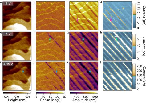 Correlation Between The Ferroelectric Domain Structures And The Current Download Scientific