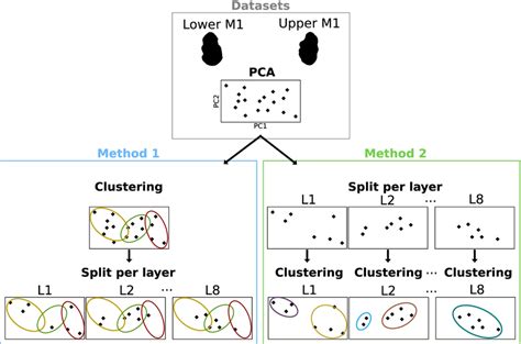 protocols of the two clustering methods download scientific diagram