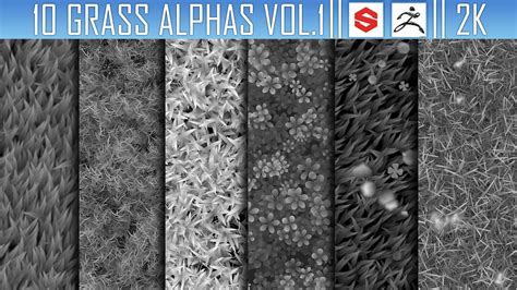 10 Grass Alphas Vol1 Zbrush Flippednormals