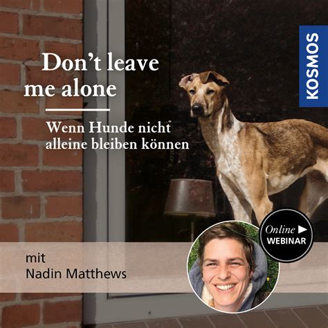 Don t leave me alone wenn Hunde nicht allein bleiben können