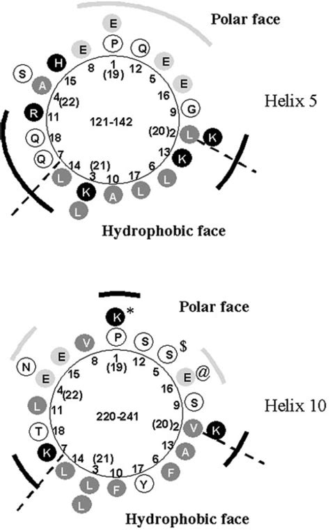 Apolipoprotein Mediated Cholesterol Efflux From Raw264 Macrophages To
