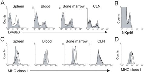 Mononuclear Leukocytes Were Isolated From The Spleen Blood Bone
