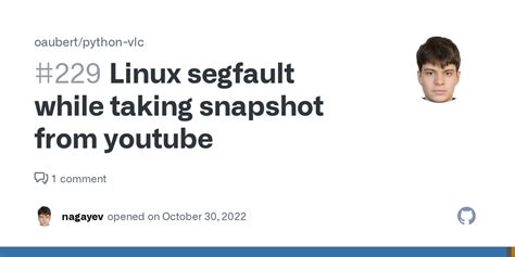 Linux Segfault While Taking Snapshot From Youtube Issue Oaubert Python Vlc GitHub