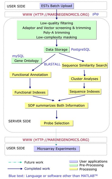 Schematic Diagram Of The Optimal Cdna Microarray Probe Selection From