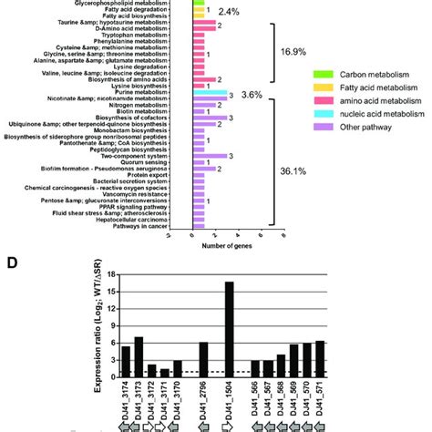 Transcriptome Analysis Of Differential Gene Expression Between A Download Scientific Diagram