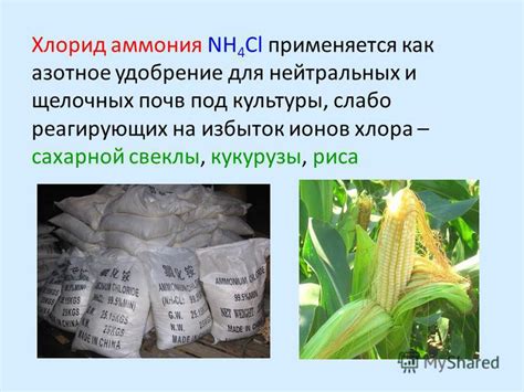 Применение сульфат аммония в сельском хозяйстве: применение удобрения в ...