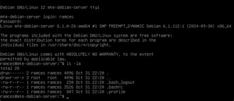 why alpine linux is the best lightweight server distro make tech easier
