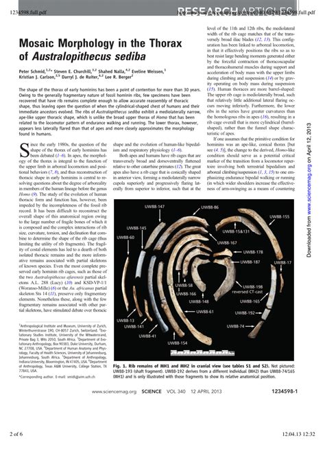 Pdf Mosaic Morphology In The Thorax Of Australopithecus Sediba