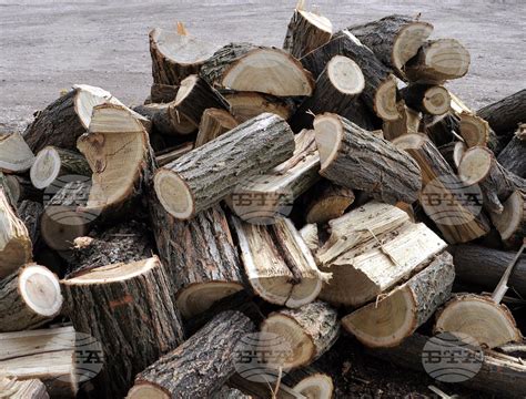 БТА От 1 юли започва приемането на заявления за отпускане на целева помощ за отопление