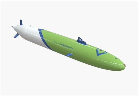 Autonomous Underwater Vehicles Auv