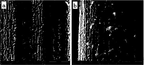 Nitrogen Doped Carbon Nano Array Cobalt Ferrite Material Eureka Patsnap