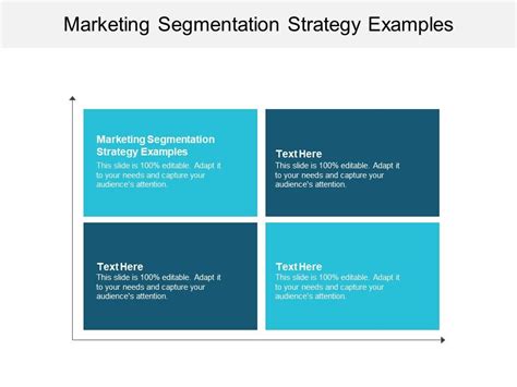 Marketing Segmentation Strategy Examples Ppt Powerpoint Presentation
