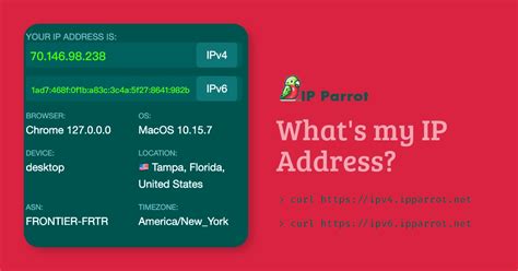 Ip Parrot Website Hunt