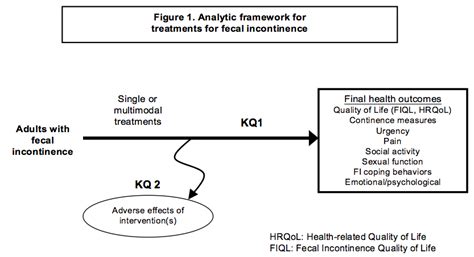 Stool Incontinence In Adults