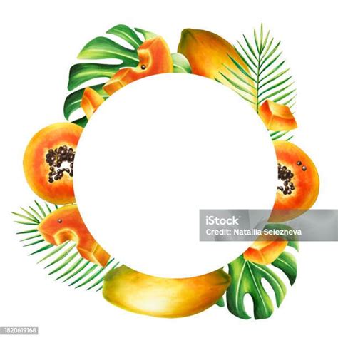 마커 프레임 로고 및 곡물 열대 잎 수채화 스타일의 몬스테라와 함께 파파야의 달콤한 익은 조각이 있는 템플릿 손으로 그린 사실적인 맛있는 유기 그림 이국적인 열대 과일