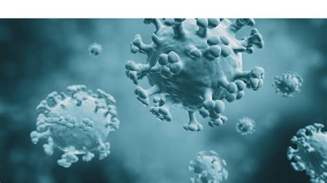 Human Metapneumovirus Hmpv Symptoms Prevention And Diagnosis