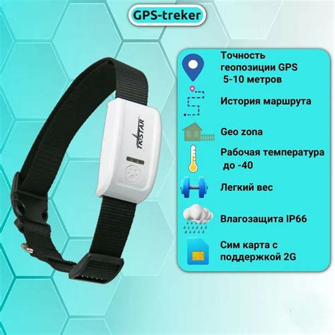 Gps Трекер Ошейник Для Собак И Кошек Домашних Кошачий Локатор ...