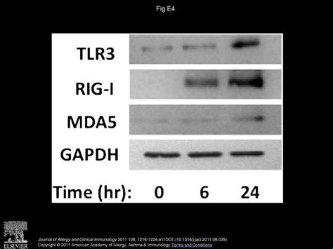 Polyinosinic Polycytidylic Acid Induces Protein Kinase D Dependent
