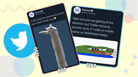 Twitter Crop Update New Image Sizes For 2021