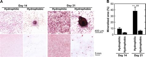 Octadecyltrichlorosilane Semantic Scholar