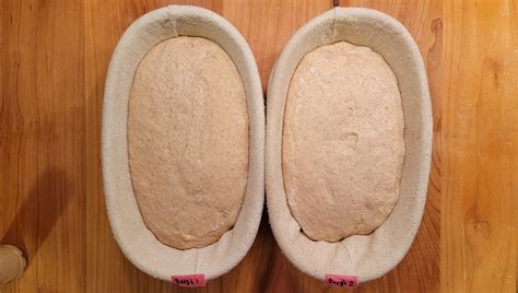 When To Shape Dough Along The Fermentation Curve Breadtopia