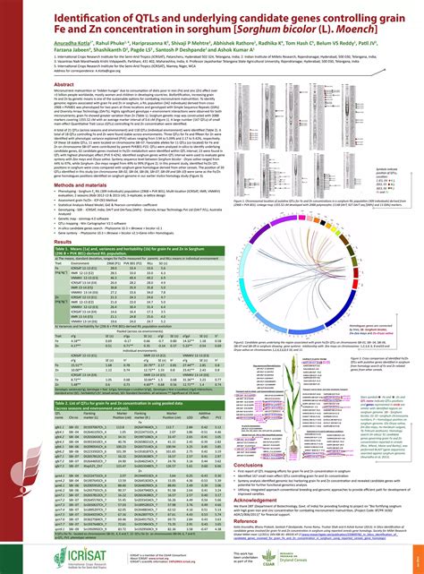 Identification Of Qtls And Underlying Candidate Genes Controlling Grain