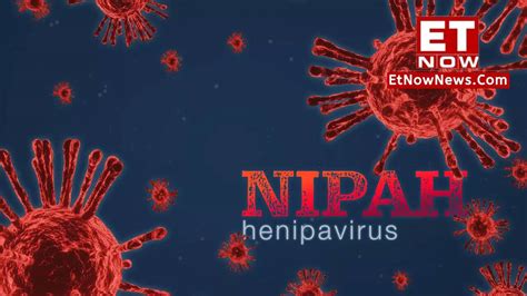 Nipah Virus Outbreak Seven Of Ten Patients May Succumb Heres What Nipah Virus Outbreak Seven Of Ten Patients May Succumb Heres What