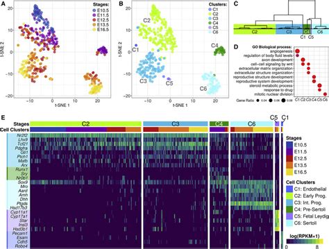 Clustering And Identification Of The Cell Populations A And B Download Scientific Diagram