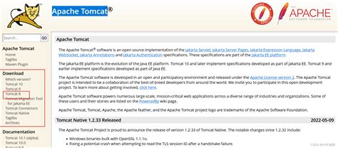 Tomcat 掌握汤姆猫，看这一篇文章就够了 Csdn博客