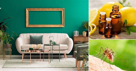 Homebliss The Hippest Community For Home Interiors And Design