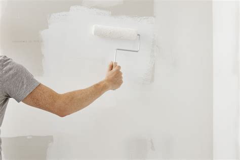 Drywall Primer Basics And Application
