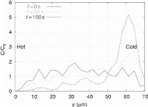 Particle Concentration And Temperature Profiles In The Thermophoretic